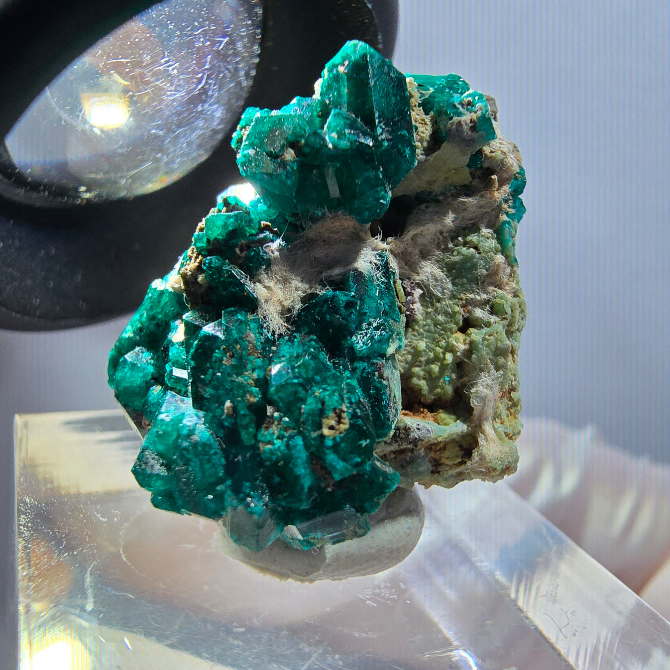 Rare Dioptase on Matrix Level, Green Republic of Congo 25*20*16mm ...