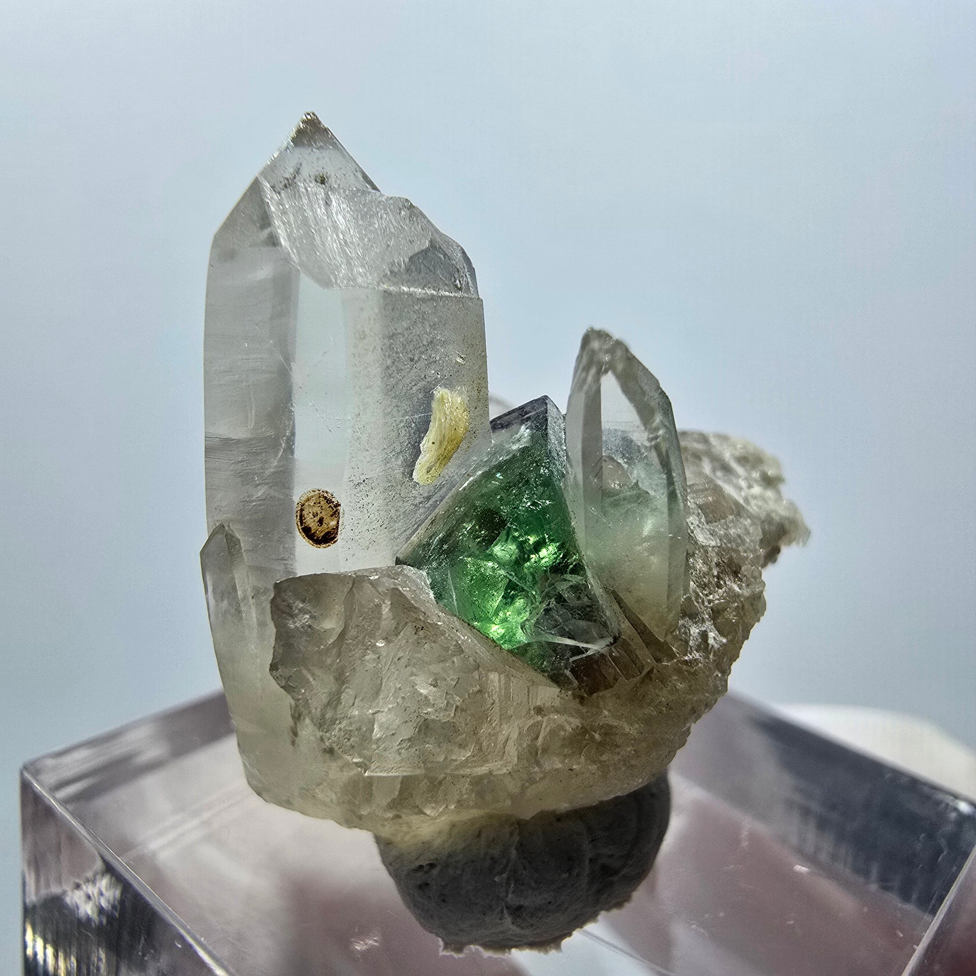 Phantom fluorite, skeletal smoky quartz, muscovite stage Erongo, Namib ...