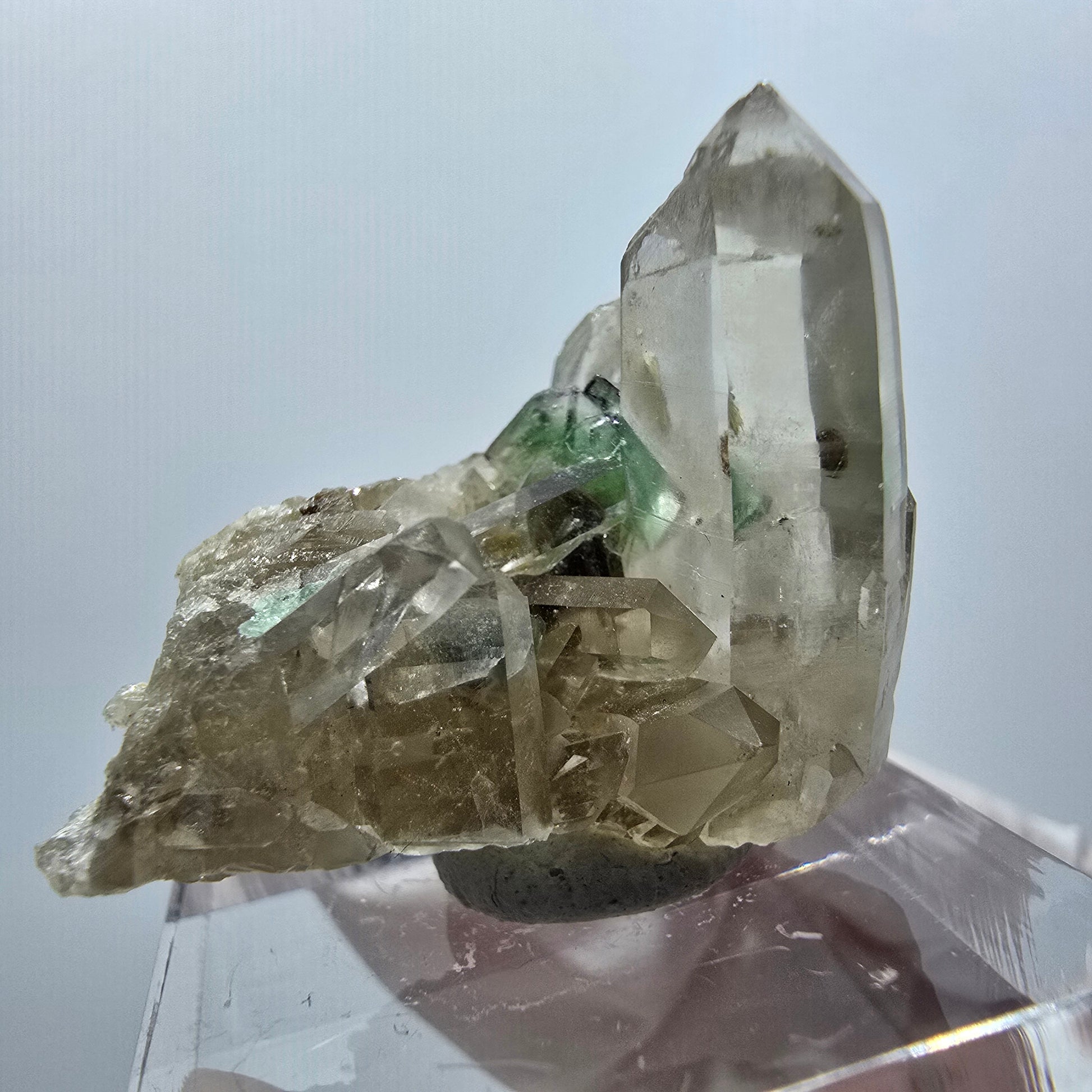 Phantom fluorite, skeletal smoky quartz, muscovite stage Erongo, Namib ...